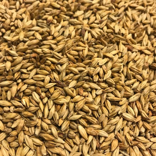 Beech smoked Barley Malt 25kg Hel 6 EBC / 2,8 L - Strømmen Hjemmebrygg AS
